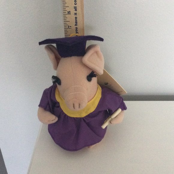 Party Supplies | Graduation Graduate Plush Pig With Diploma | Poshmark